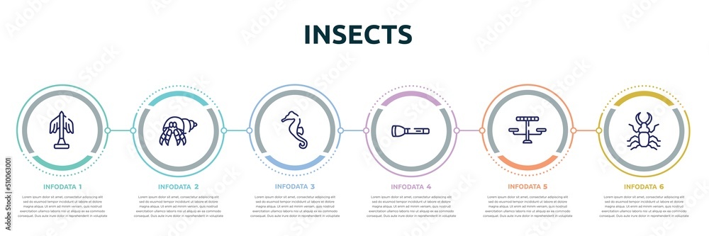 insects concept infographic design template. included statue, hermit ...