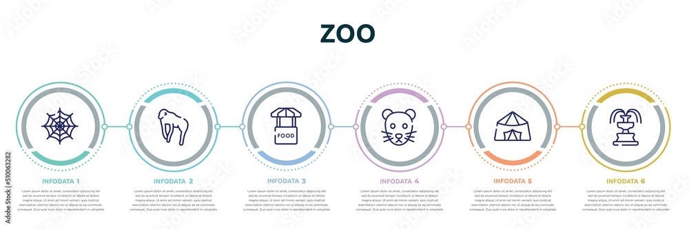 zoo concept infographic design template. included spider web ...