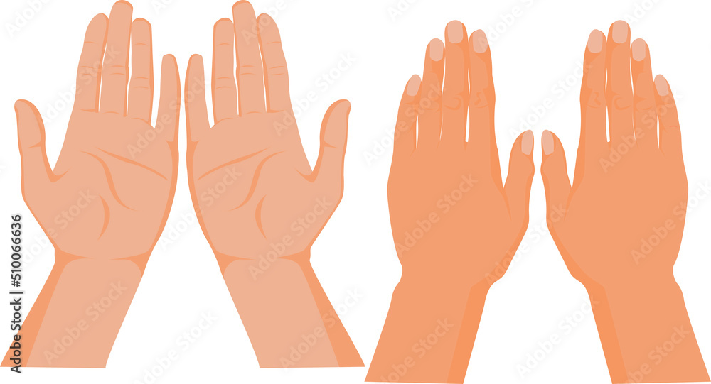 Hand in front and backside. Human body parts. Stock Vector | Adobe Stock