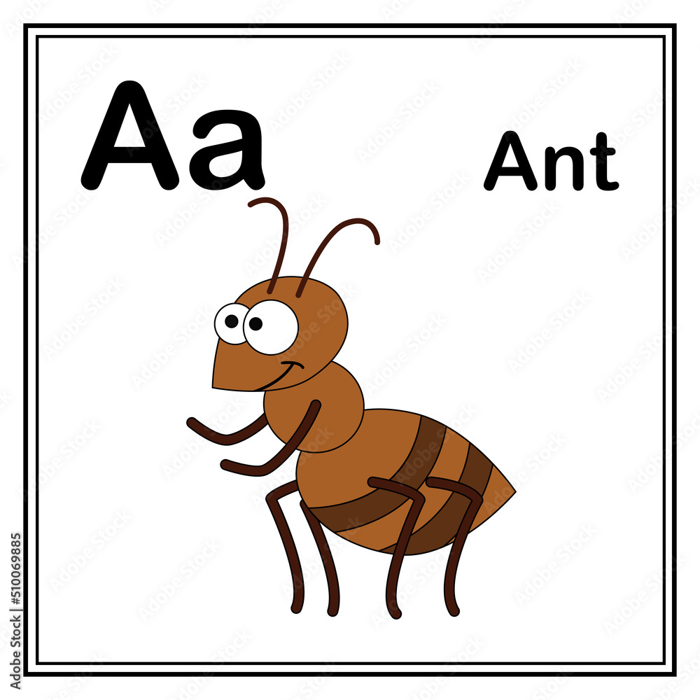 Cute children ABC animal alphabet A letter flashcard of Fire Ant for ...
