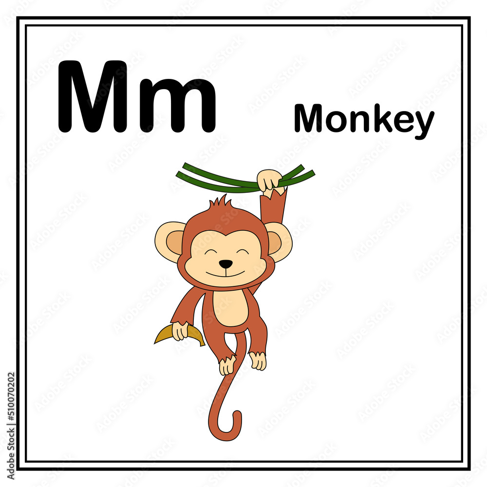 Cute children ABC animal alphabet M letter flashcard of Monkey for kids ...