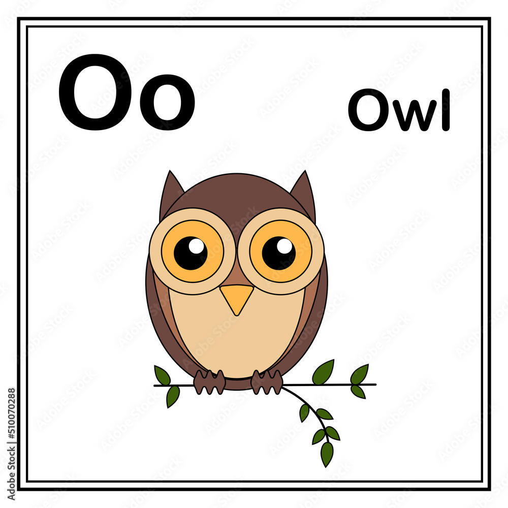 Cute children ABC animal alphabet O letter flashcard of Owl for kids ...
