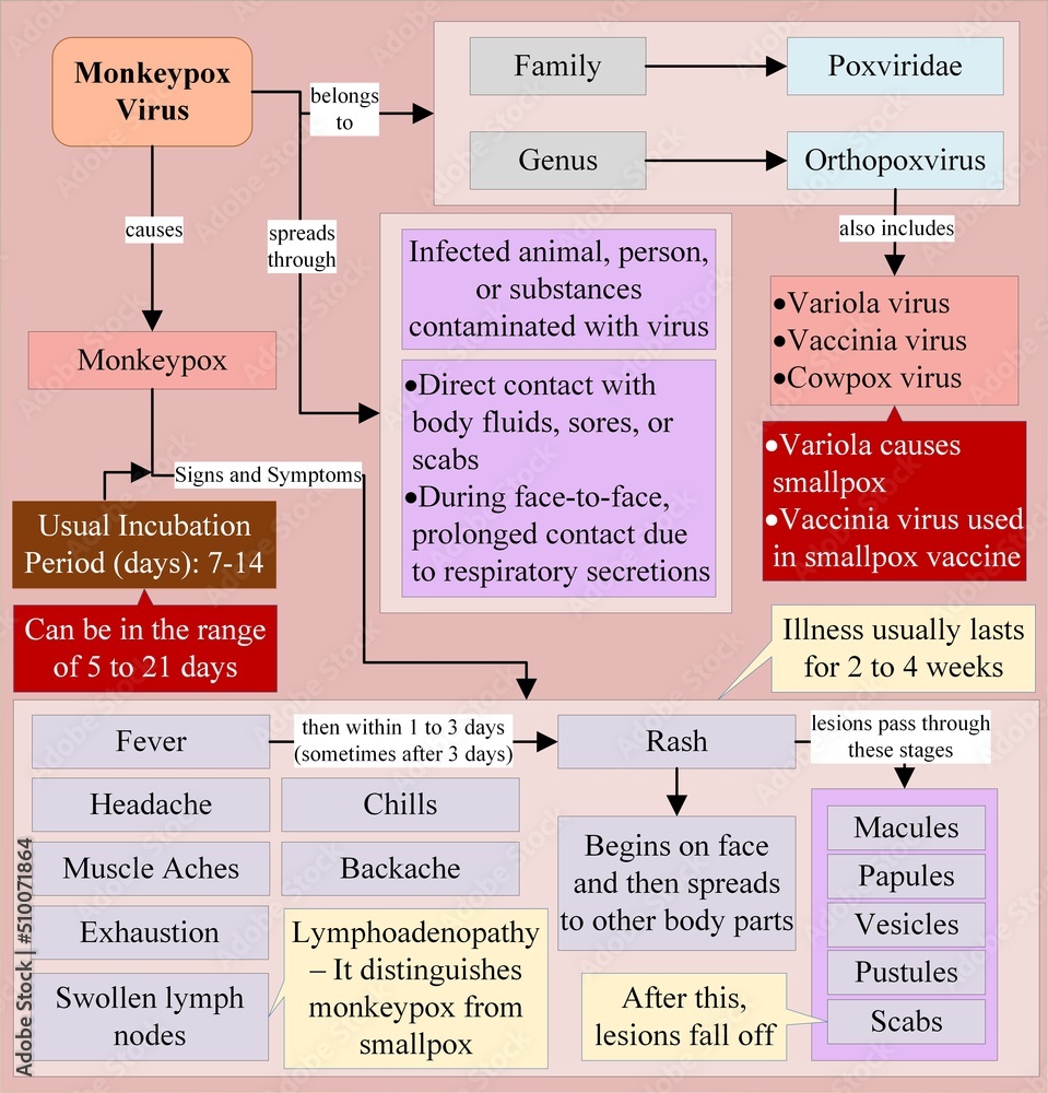 Monkeypox virus becomes the cause of monkeypox, the signs and symptoms ...