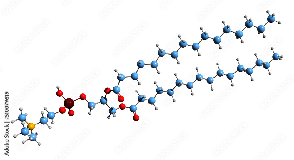 3D image of Colfosceril palmitate skeletal formula - molecular chemical ...