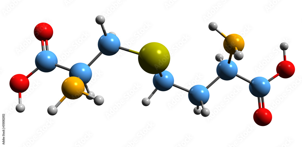 3D image of Cystathionine skeletal formula - molecular chemical ...