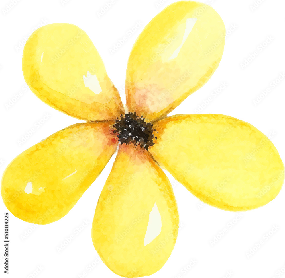 Yellow watercolor flower illustration hand drawn Stock Vector | Adobe Stock