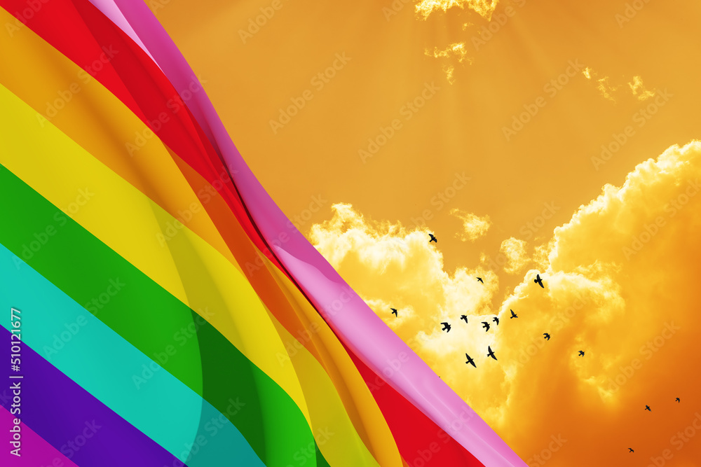 Waving LGBT pride flag on sunset sky with flying birds, rainbow flag ...