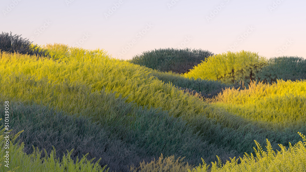Colorful Grass FIeld Stock Photo | Adobe Stock