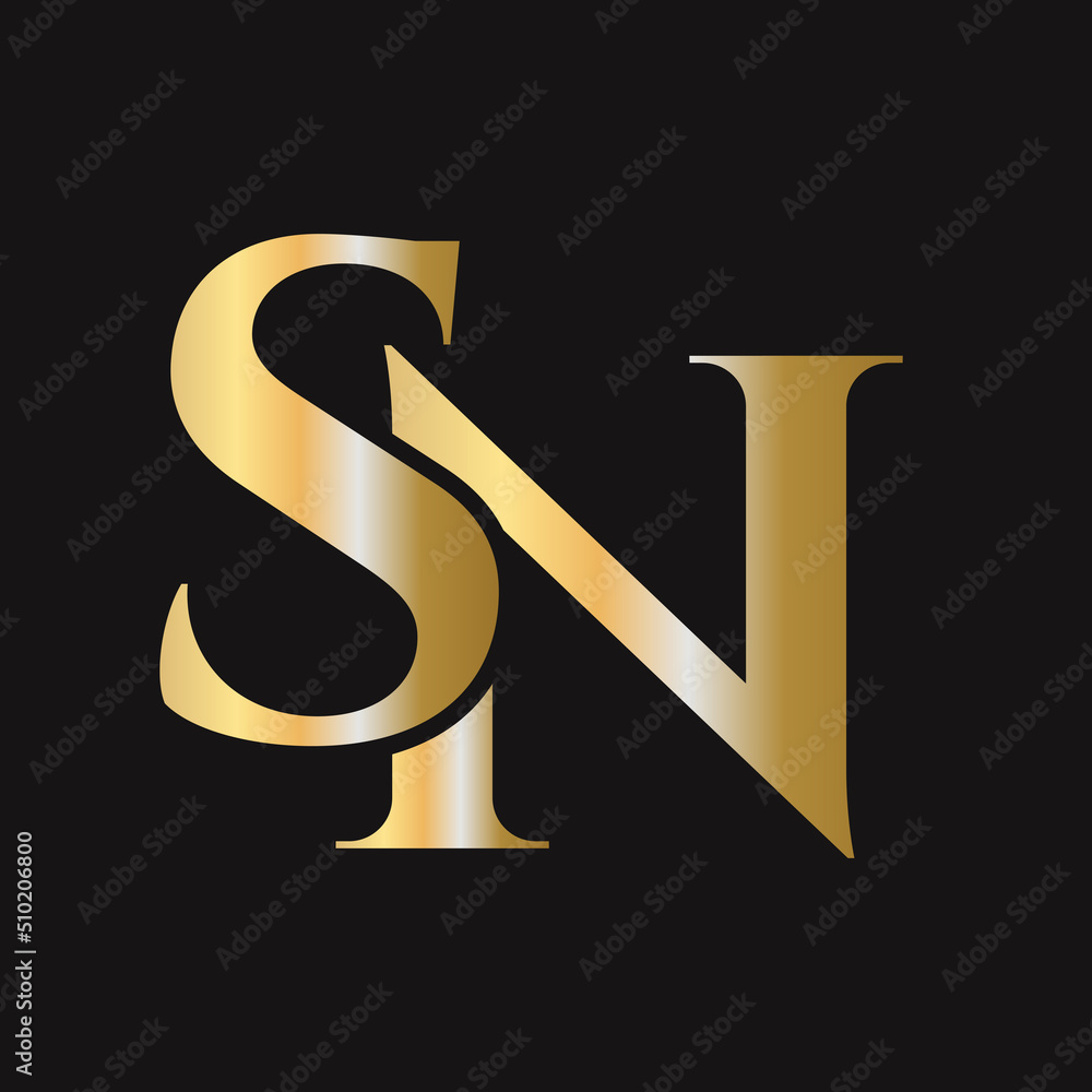 Initial letter SN, NS logo design vector template. Monogram SN logotype ...