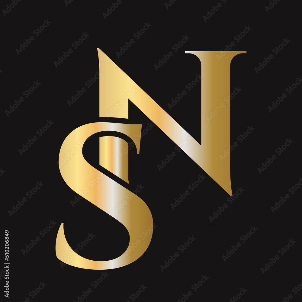 Initial letter SN, NS logo design vector template. Monogram SN logotype ...