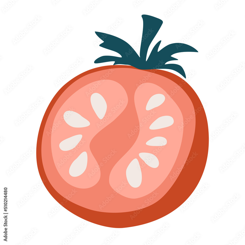 Cartoon Tomato Slice