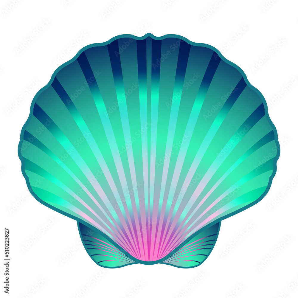 Blue Scallop Shell