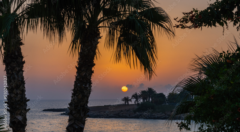 Early morning, sunrise among the palm trees of a tropical island Stock ...