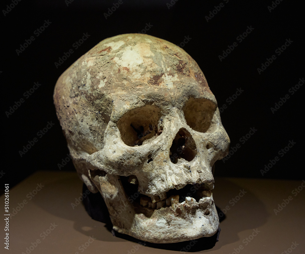 ancient human skull on dark background. ancient human skull on black ...