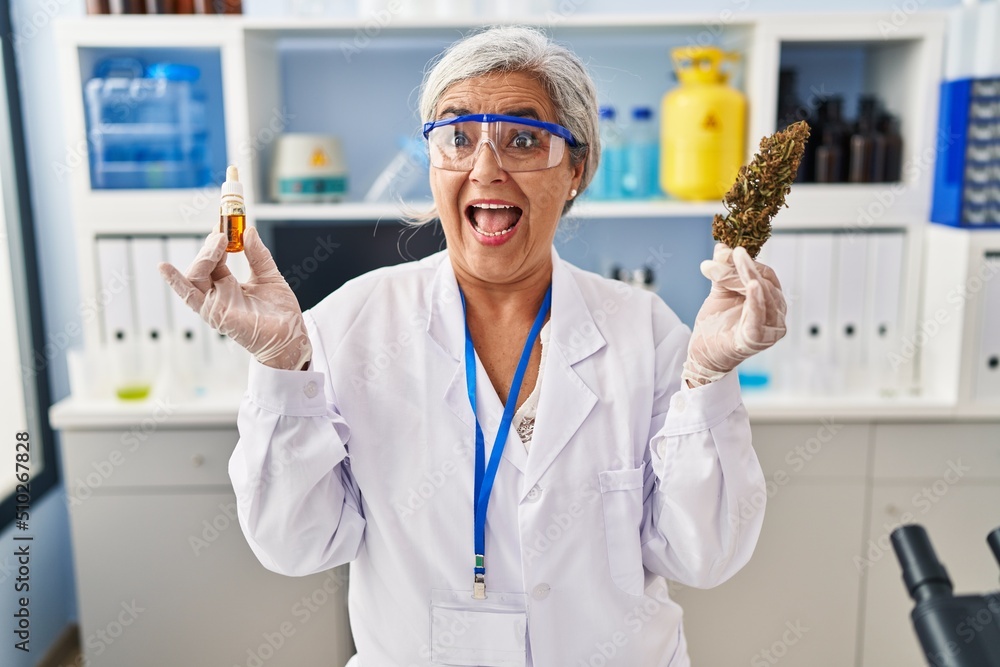 Middle age woman with grey hair doing weed oil extraction at laboratory ...