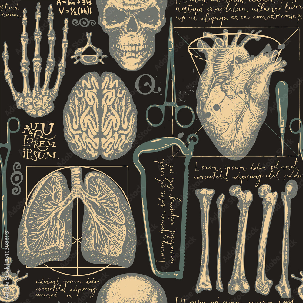 Anatomy seamless pattern with hand-drawn human skulls, bones, organs ...