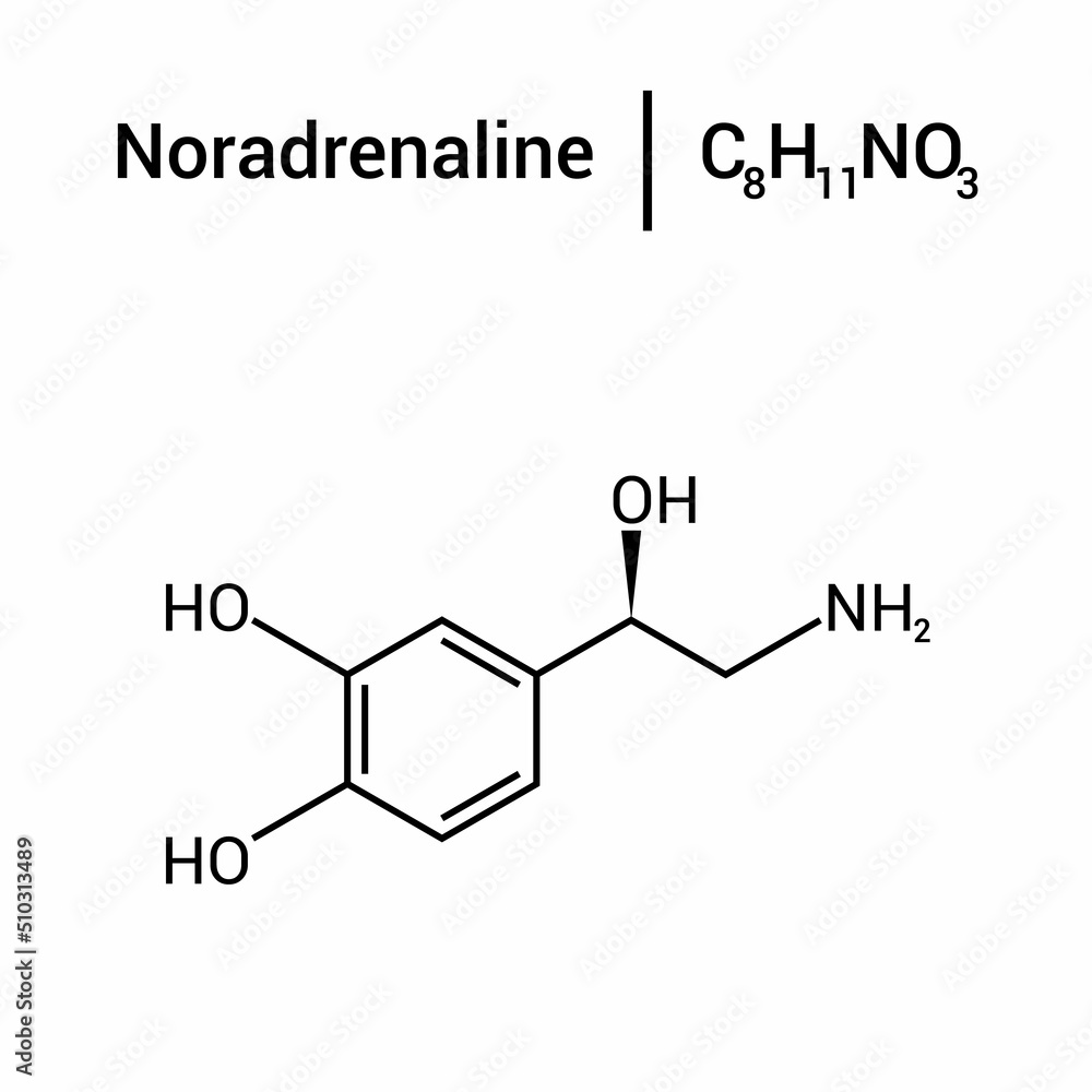 chemical structure of Norepinephrine (C8H11NO3) Stock Vector | Adobe Stock