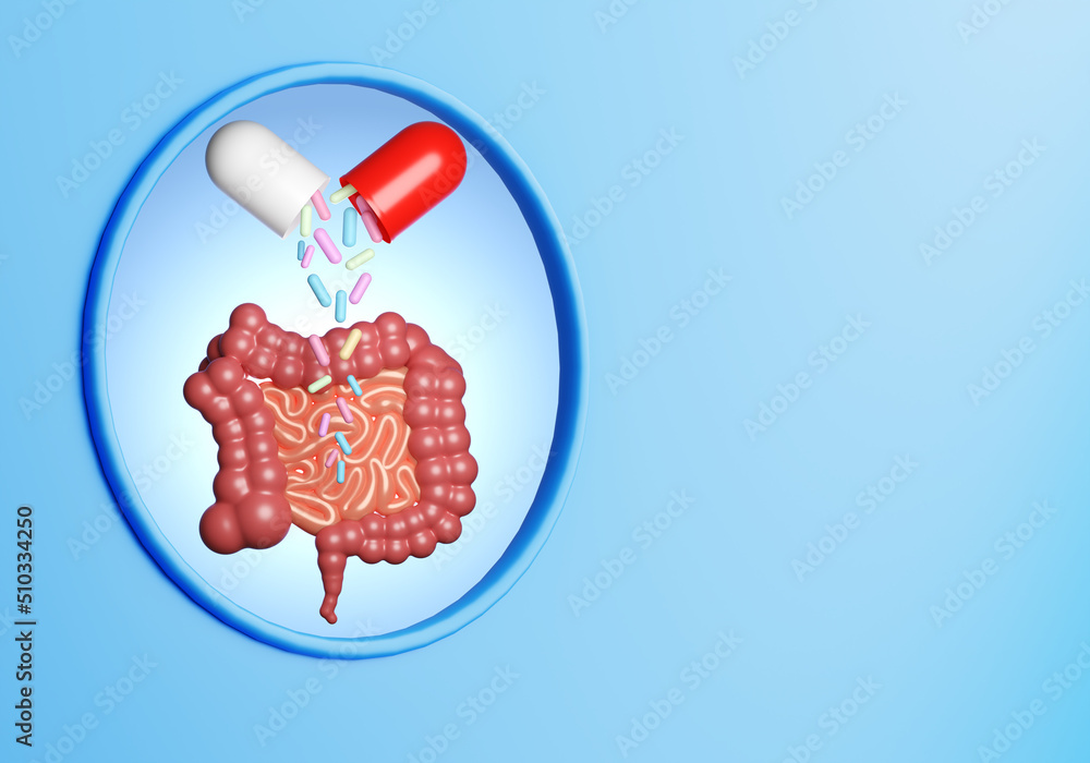 Intestine probiotics. Tablets or vitamins over intestine tract ...