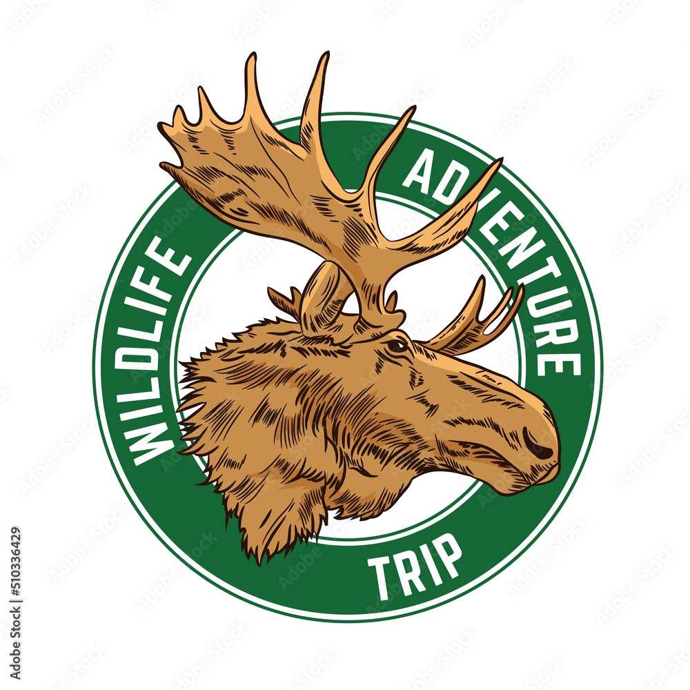 Moose head vector illustration logo design, perfect for tshirt design ...