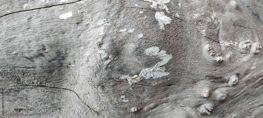 wood texture of a death tree Embossed texture Stock Photo | Adobe Stock
