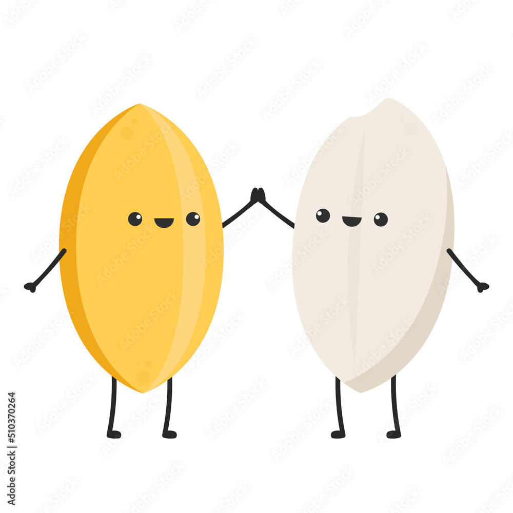 Rice character design. rice vector on white background. Paddy vector ...