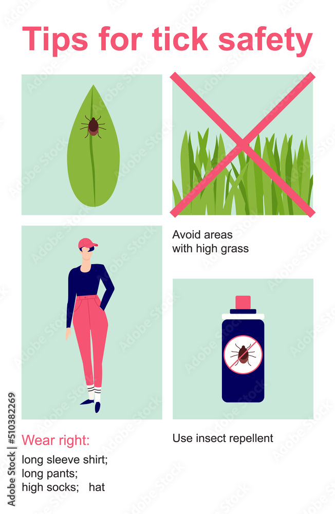 Tips for tick safety infographic. How to protect skin from insect ...