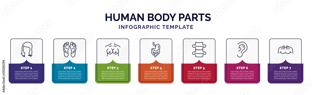 infographic template with icons and 7 options or steps. infographic for ...
