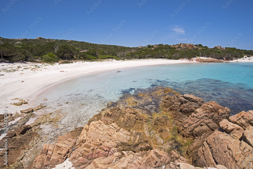 La Spiaggia Rosa, isola Budelli, Parco Nazionale Arcipelago di La ...
