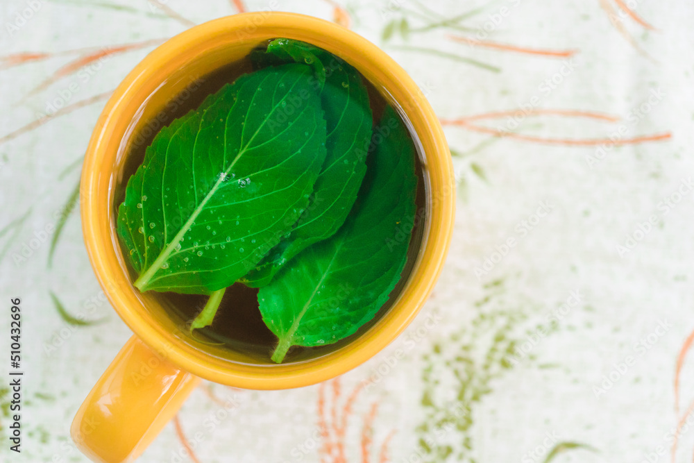 Mint flavored tea, view from above, space for a text. Organic green Tea ...