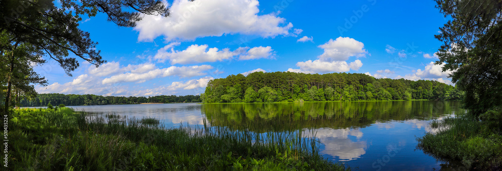 a gorgeous summer landscape at Lake Acworth with rippling blue lake ...