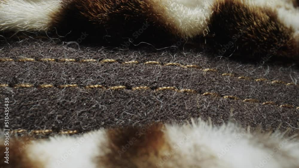 Texture of spotted fur of wild animals. Real fluffy white brown fur ...