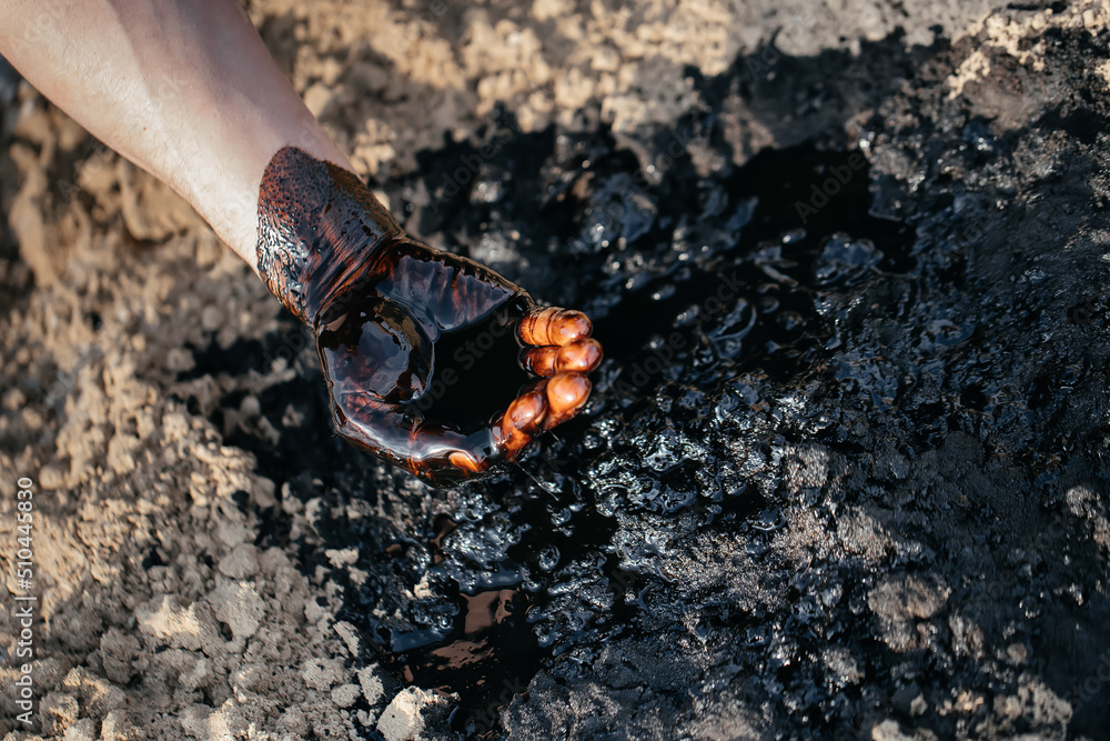 Crude oil in hand due to a crude oil leak. Caucasian hands covered with ...