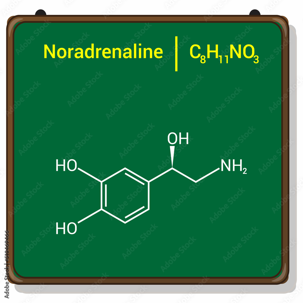 chemical structure of Norepinephrine (C8H11NO3) Stock Vector | Adobe Stock