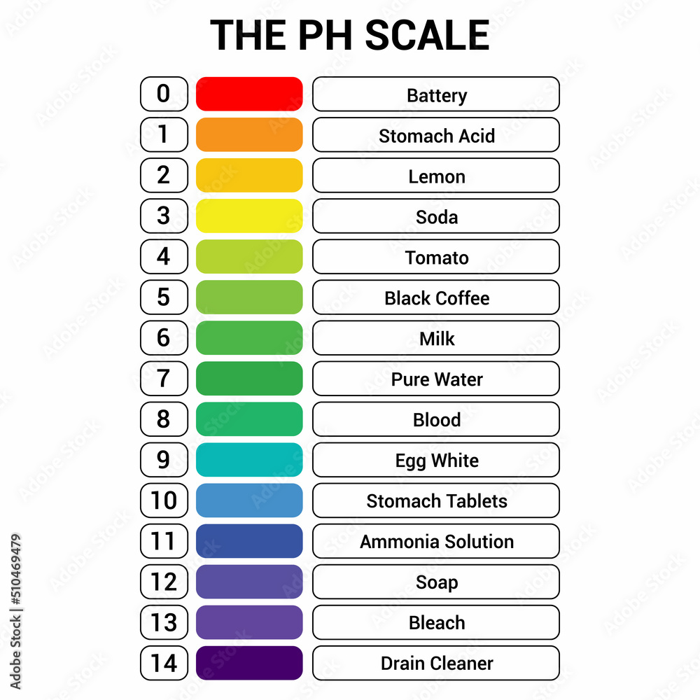 The ph scale in chemistry Stock Vector | Adobe Stock