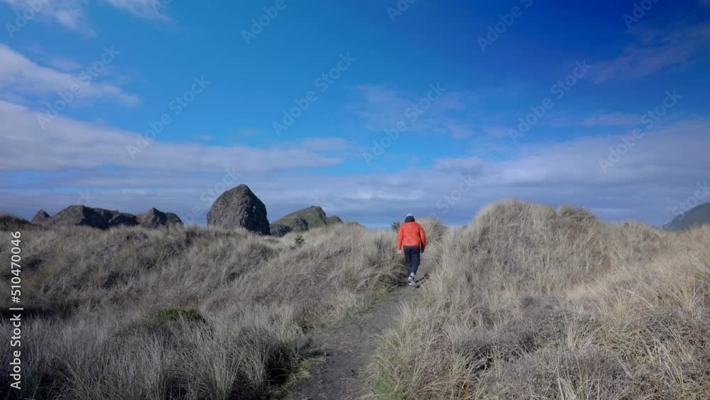 Back view of a lonely male tourist wandering across coastal area. Man ...