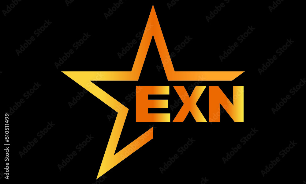 EXN golden luxury star icon three letter logo design vector template ...