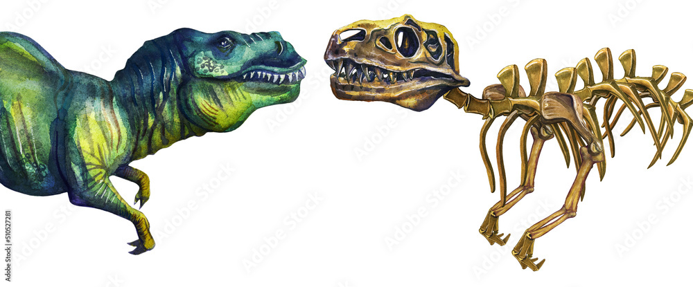 Dinosaur bones opposite a living T-Rex. Paleontology and Archeology ...