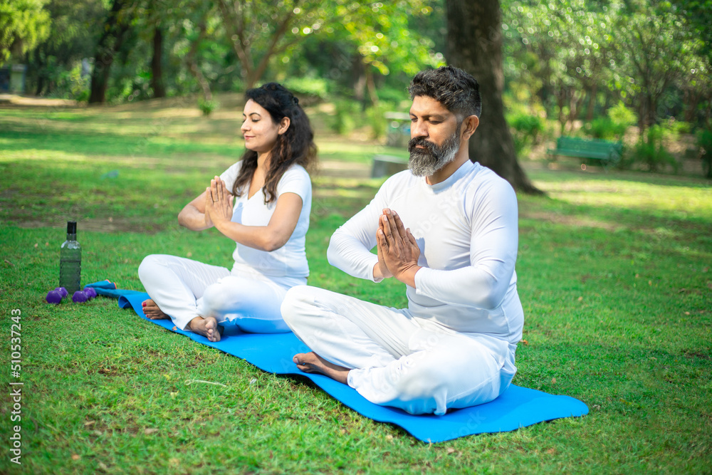 Indian people doing yoga exercise in the park, Asian man and woman Join ...