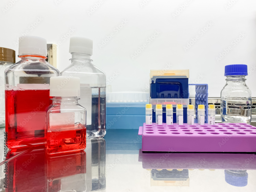 Cell culture media and cryovials placed under a laminar flow chamber ...