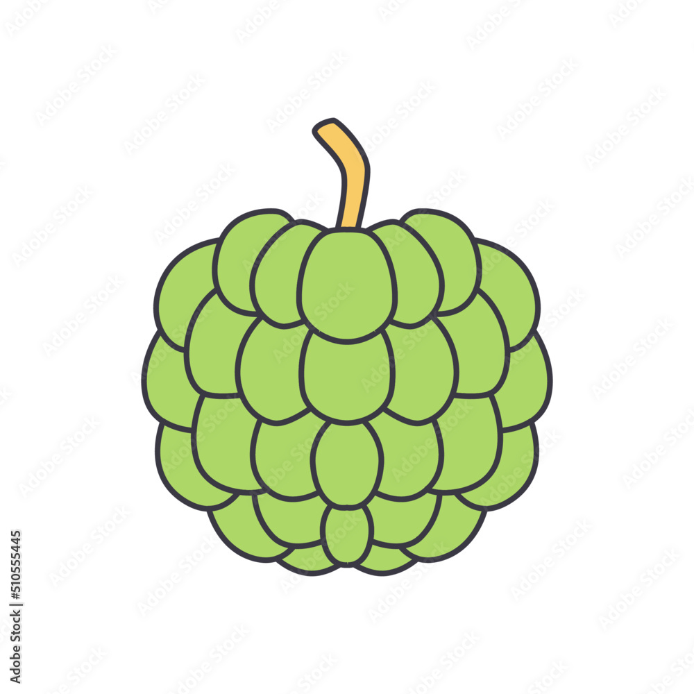 Custard apple fruit icon in color, isolated on white background Stock ...