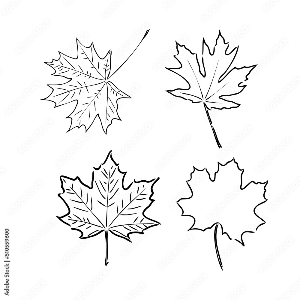 fall leaf clipart, black and white leaf drawing, vector clipart Stock ...