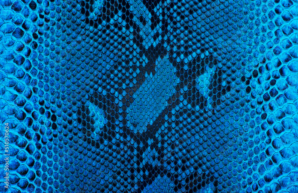 Reticulated python skin as background. Blue snake skin. Stock Photo ...