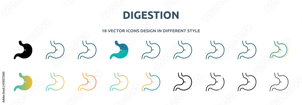digestion icon in 18 different styles such as thin line, thick line ...