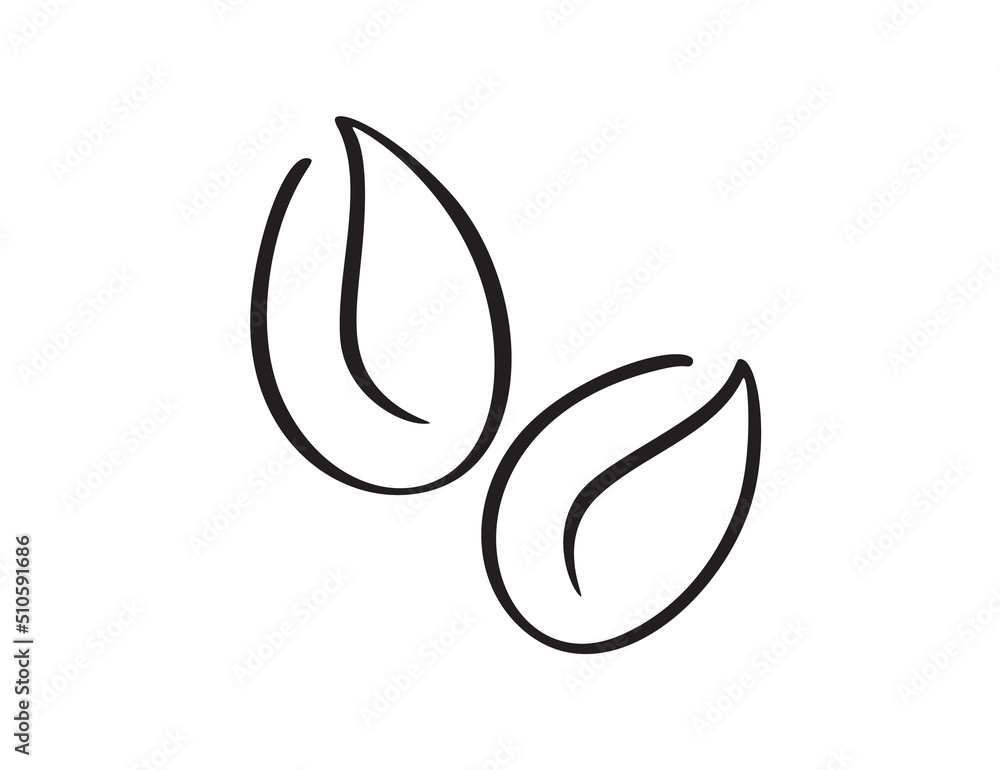 Vector calligraphy logo two coffee bean. Black and white calligraphic ...