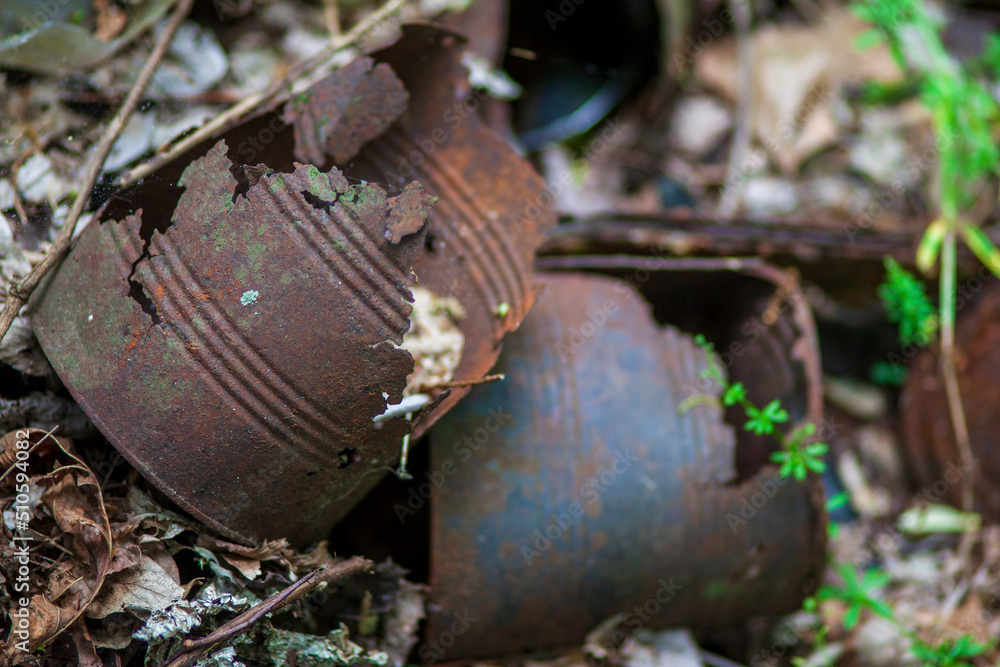 Old rusty metal cans and barrels in the forest with lush green leaves ...