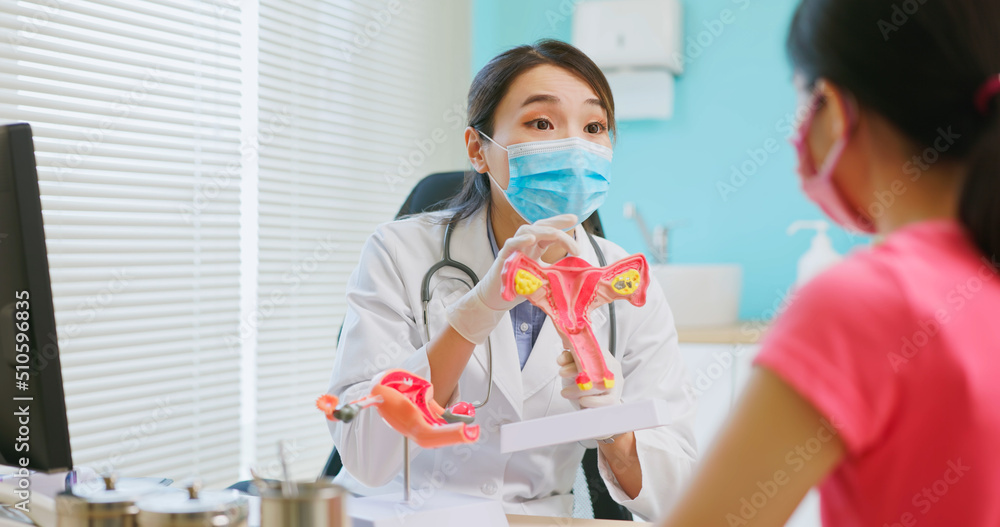 explain uterus model Stock Photo | Adobe Stock