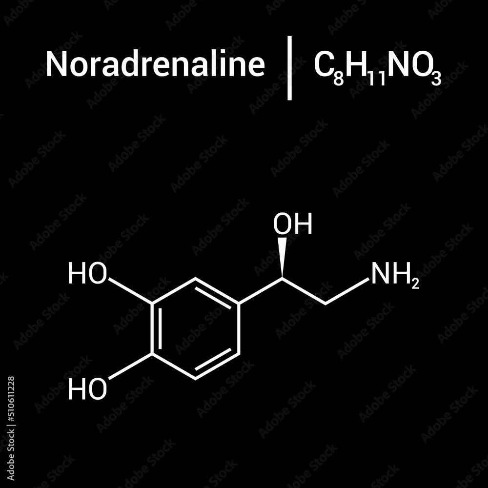 chemical structure of Norepinephrine (C8H11NO3) Stock Vector | Adobe Stock