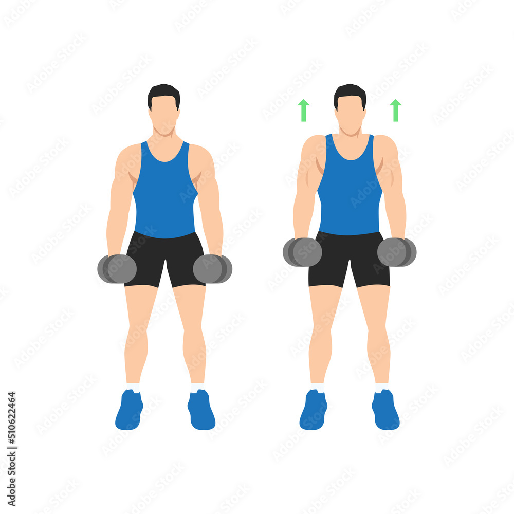 Man doing Dumbbell shrugs front view exercise. Flat vector illustration ...