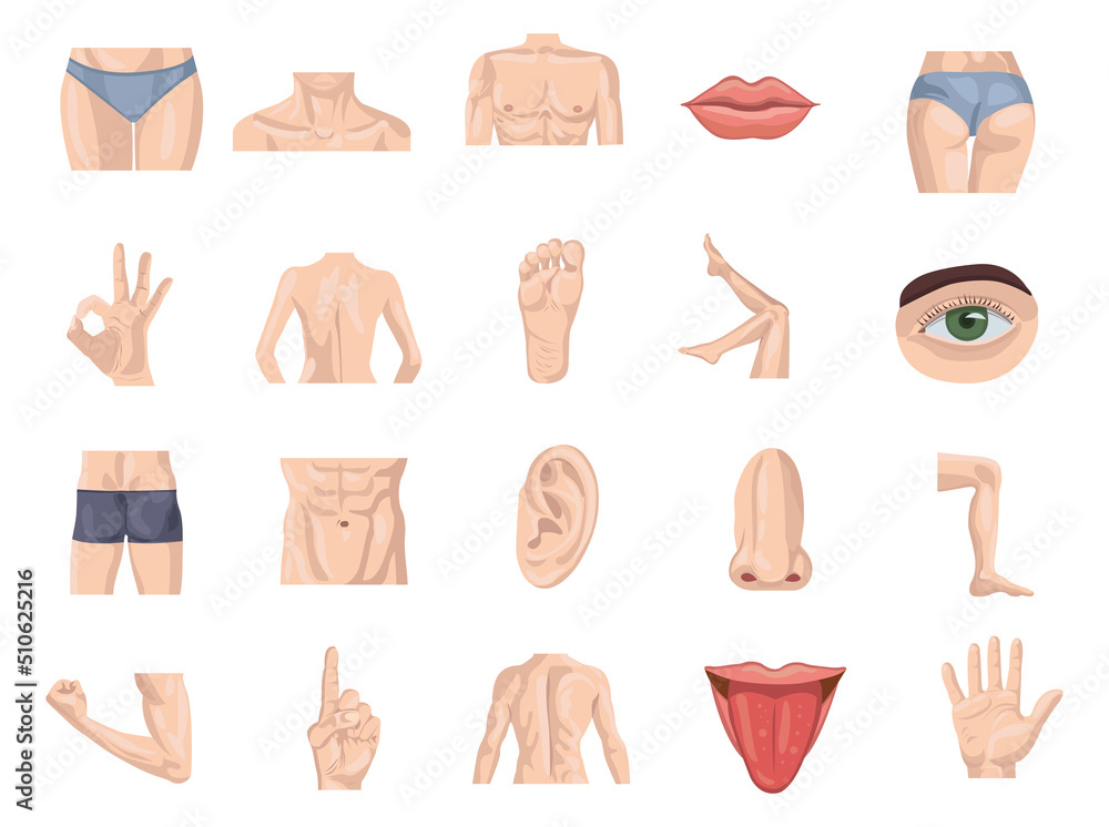 Human body parts icons set. Colored vector element from body parts ... Human body parts icons set. Colored vector element from body parts ...