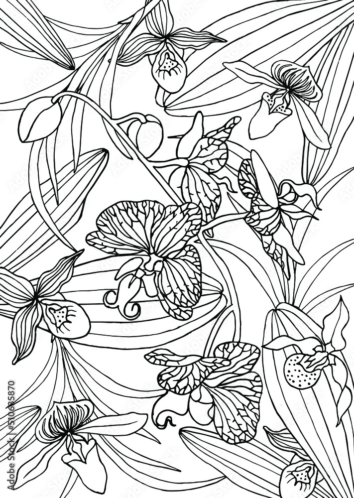 Black Orchid Coloring Page